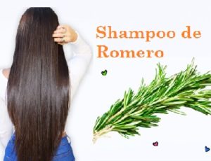 SHAMPOO DE ROMERO: Para qué sirve, Cómo se Hace y Beneficios